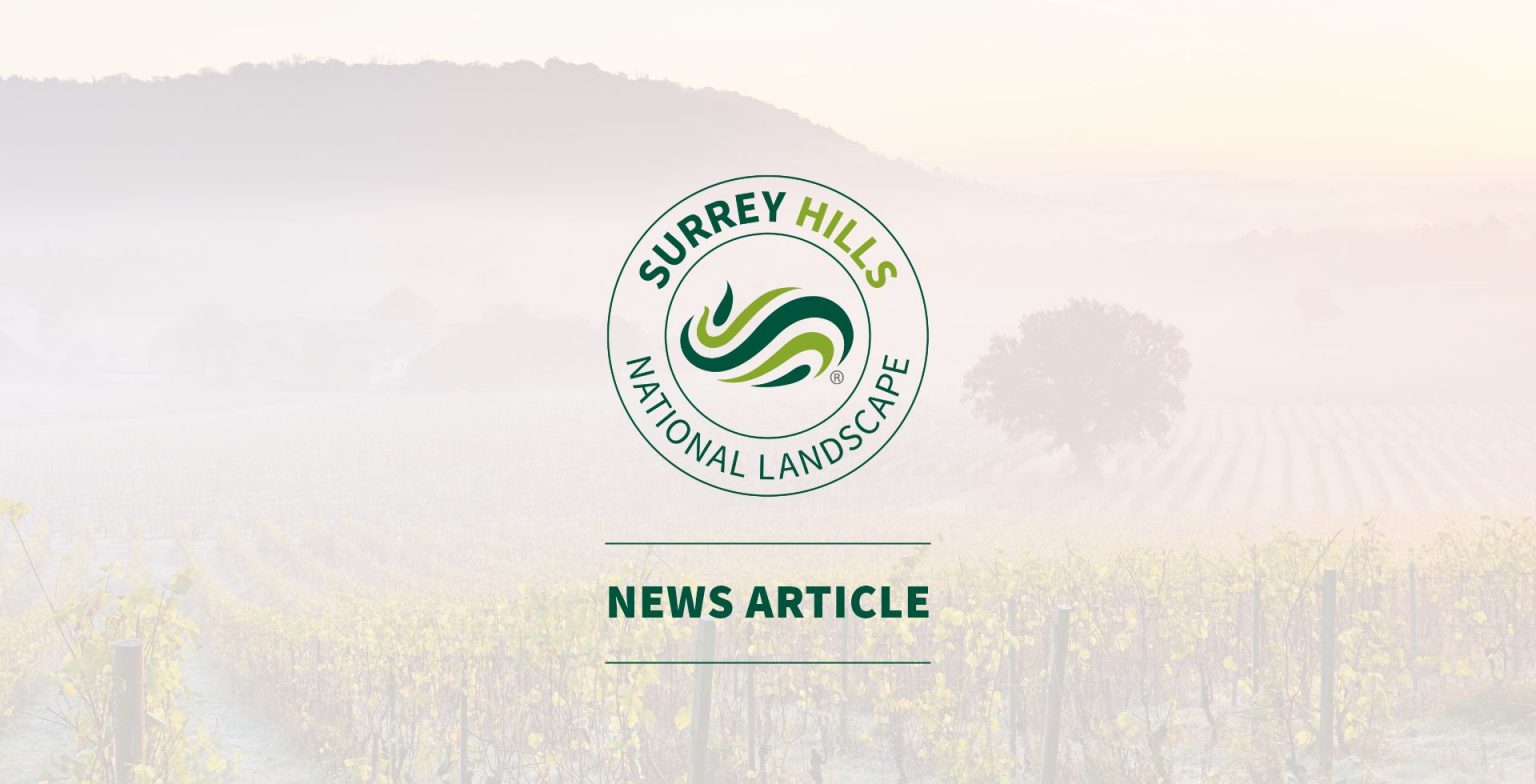 Surrey Hills AONB boundary review update - Surrey Hills National Landscape