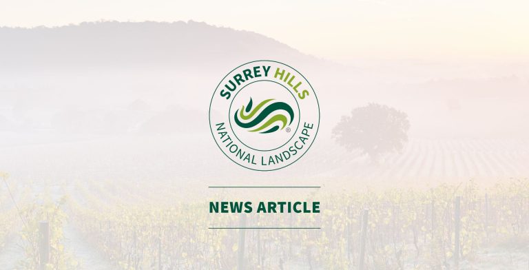 Surrey Hills AONB boundary review update - Surrey Hills National Landscape