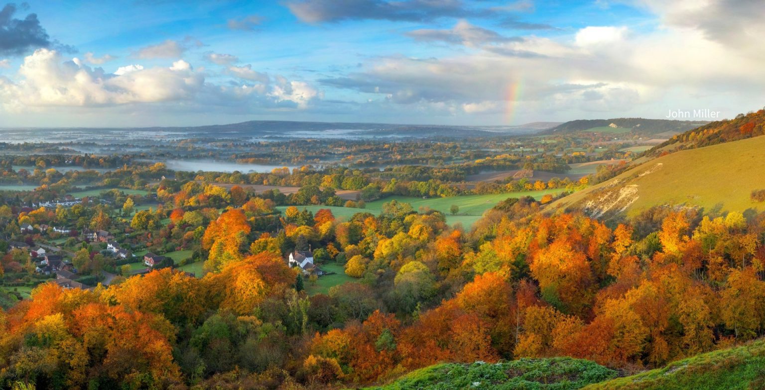 Reigate Hill - Surrey Hills National Landscape