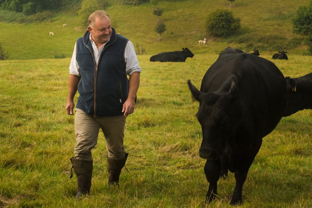 My Surrey Hills - Surrey Hills National Landscape