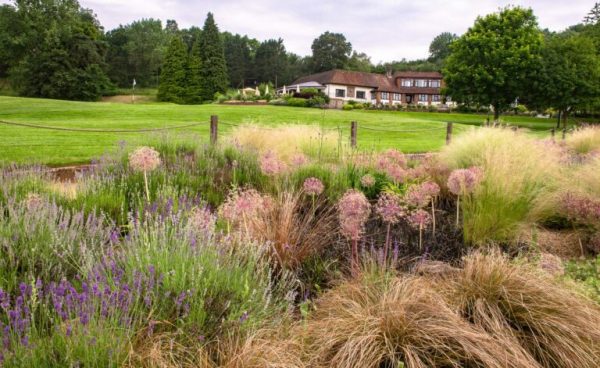 Bramley Golf Club - Surrey Hills National Landscape