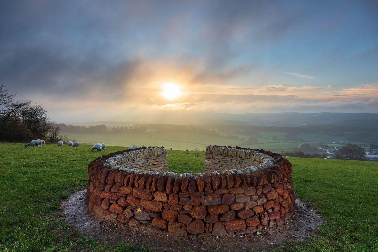 Walking in the Surrey Hills