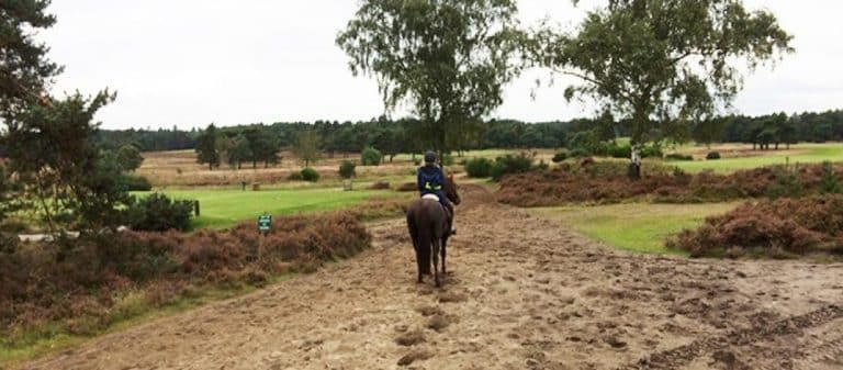 Horse Riding in the Surrey Hills National Landscape