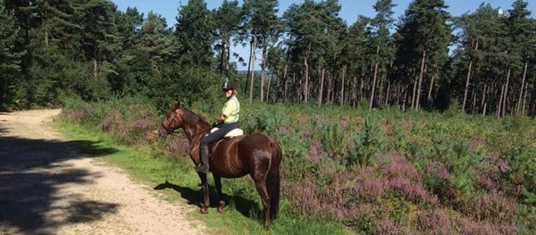 Horse Riding in the Surrey Hills National Landscape