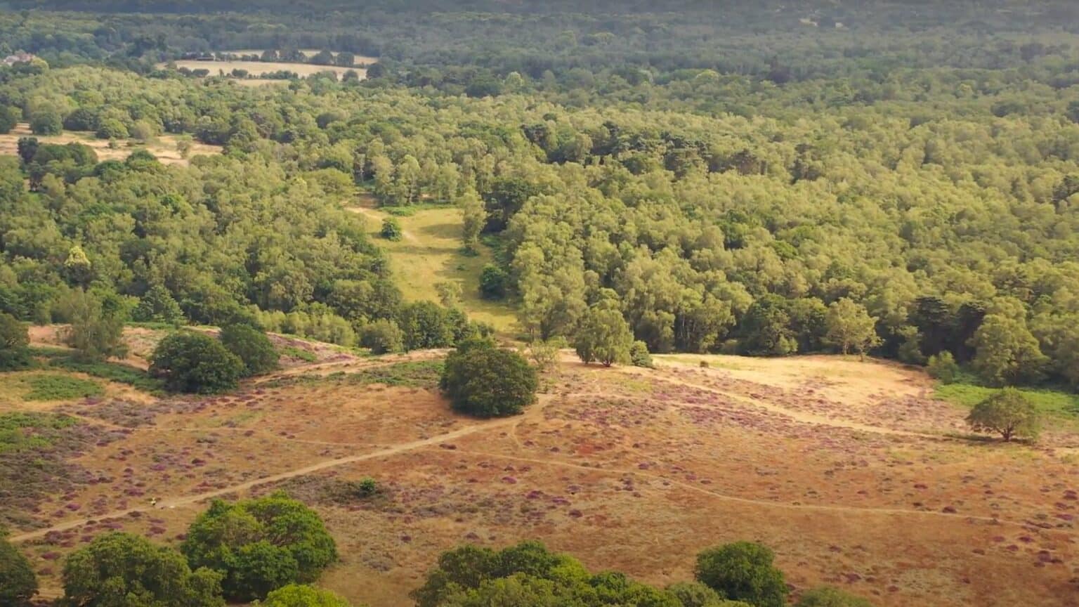 Puttenham Common - Surrey Hills National Landscape