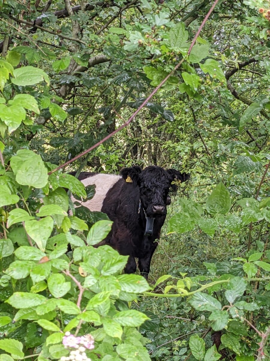 Surrey Hills Partnership tour 2023 - Surrey Hills National Landscape