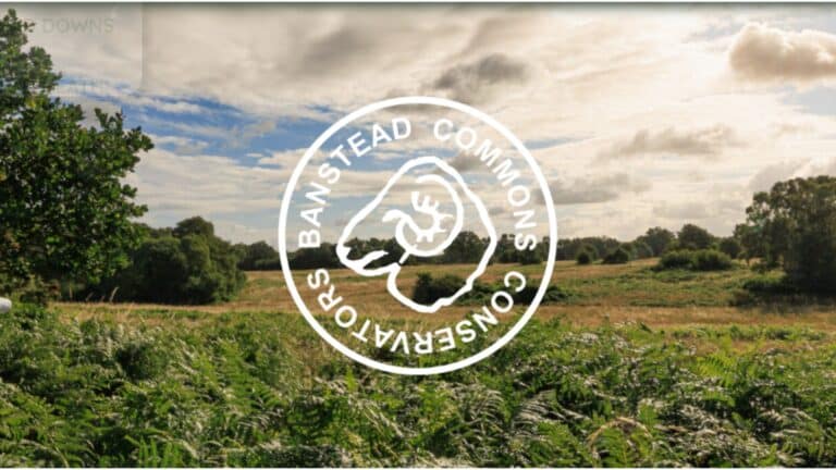 Website Re-design for Banstead Common Conservators - Surrey Hills ...