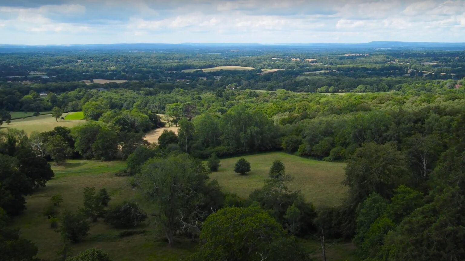 Surrey Hills Nature Recovery Strategy - Surrey Hills National Landscape