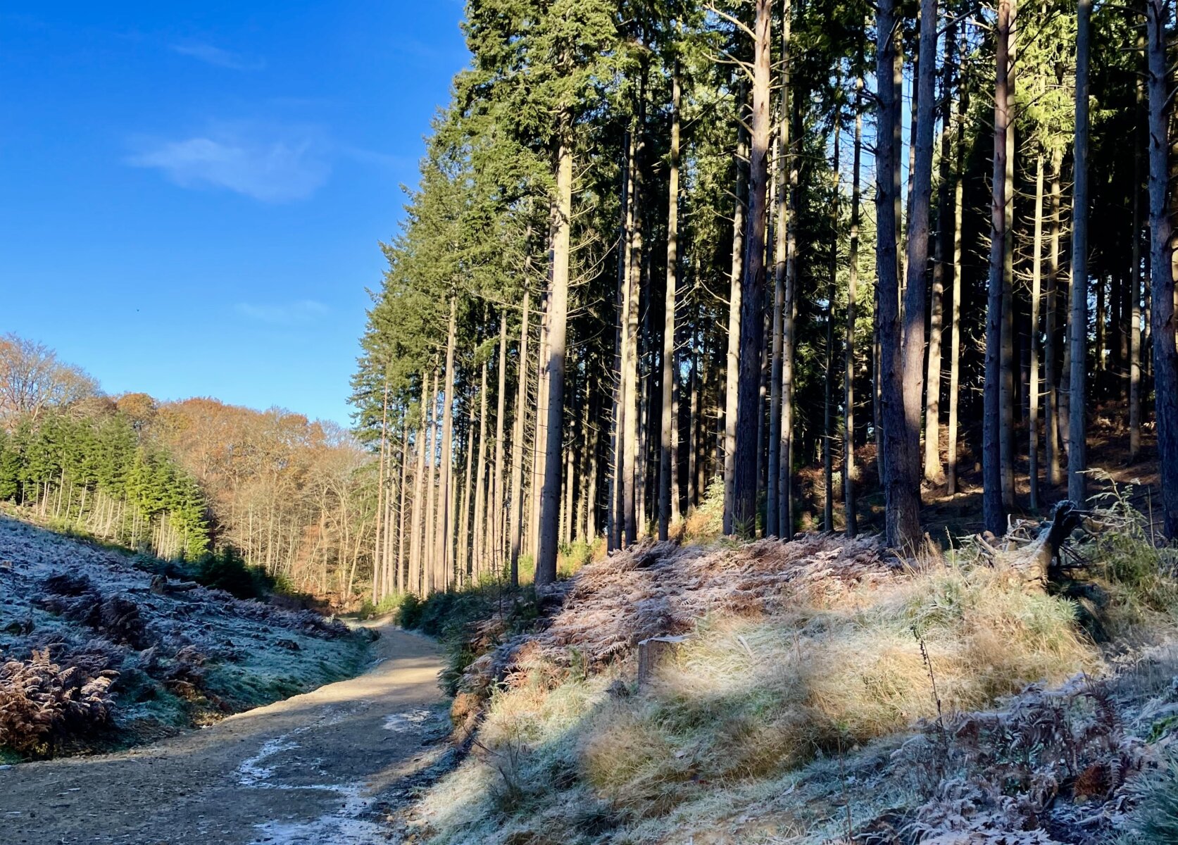 Events from Saturday, 17th February – Wednesday, 4th December – Surrey ...