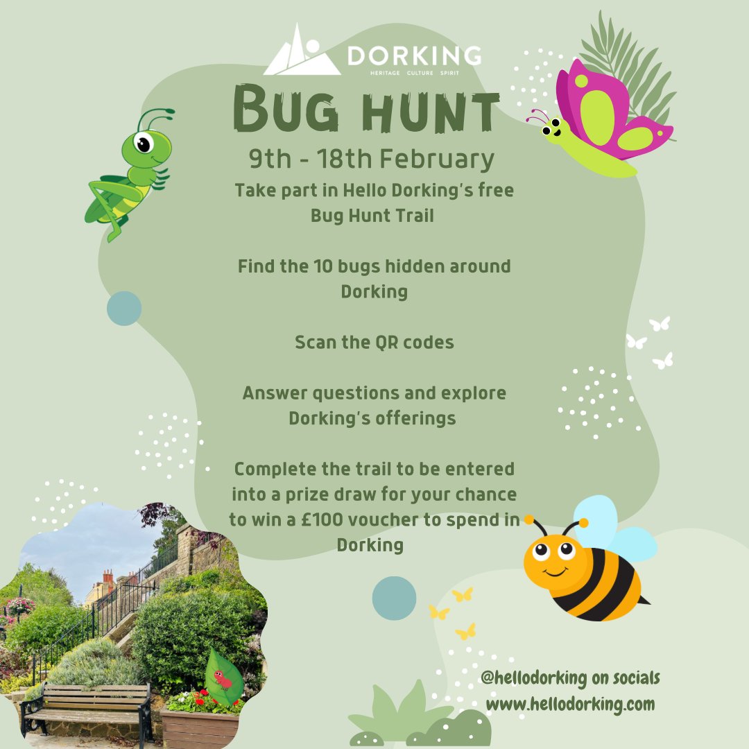 Hello Dorking’s Bug Hunt Trail - Surrey Hills National Landscape