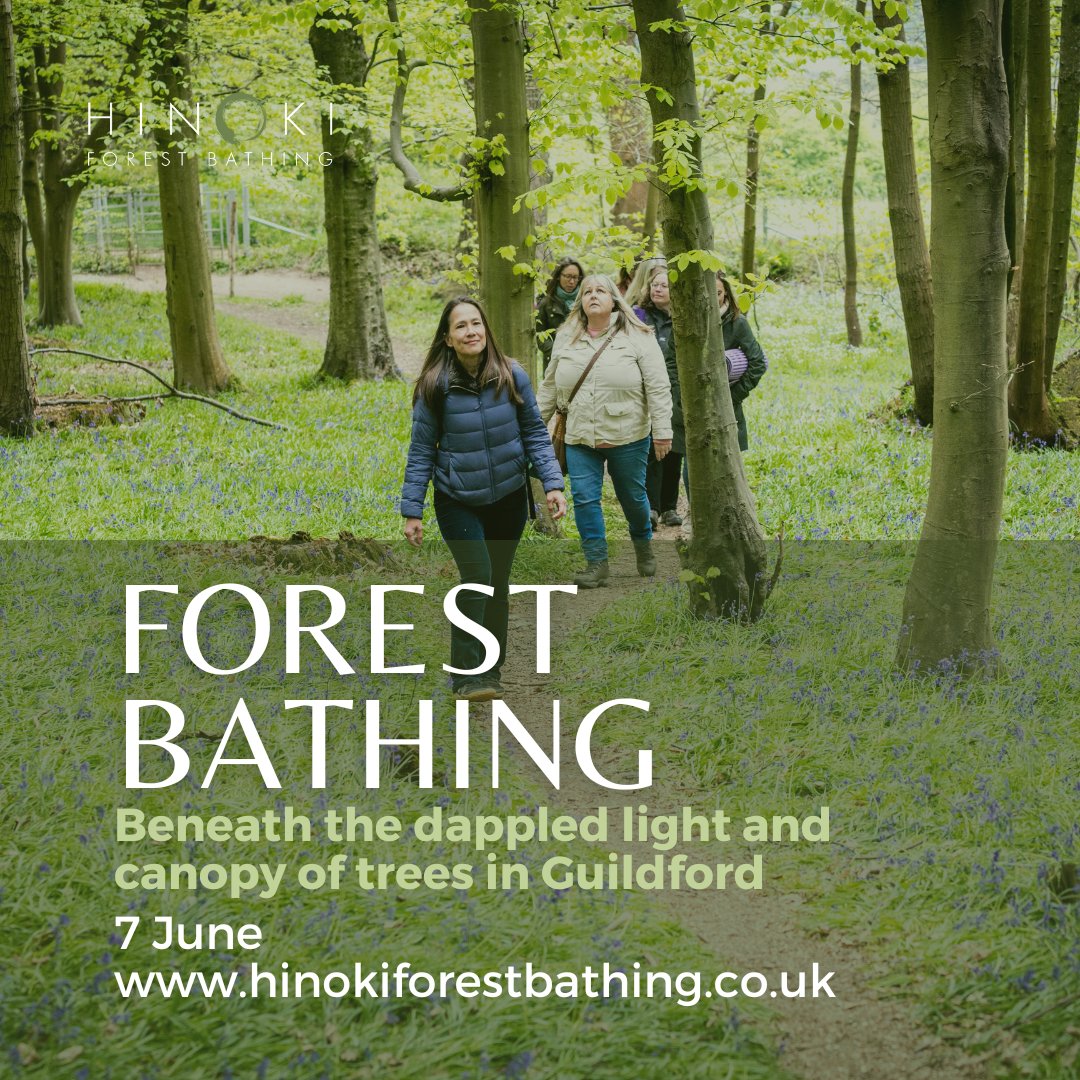 Calming Forest Bathing - Surrey Hills National Landscape