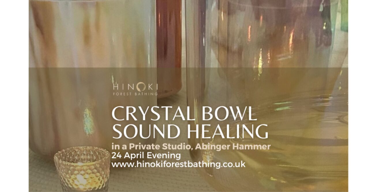 Meditation & Sound Healing - Surrey Hills National Landscape Meditation & Sound Healing - Surrey Hills National Landscape