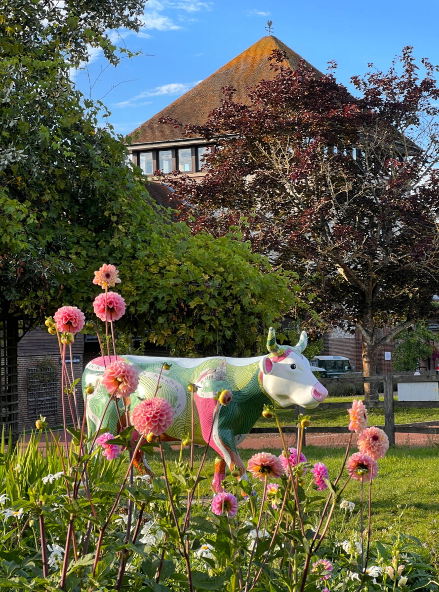 Denbies Wine Estate becomes first UK vineyard and winery to produce ...