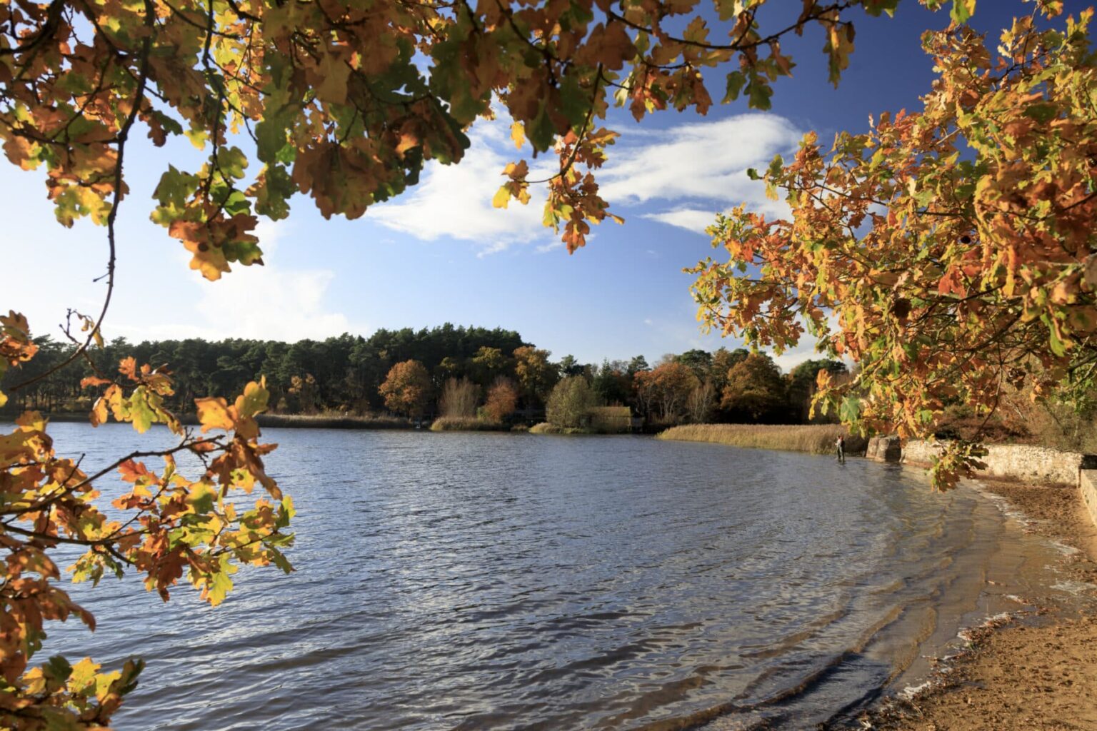 National Trust Surrey Hills - Surrey Hills National Landscape