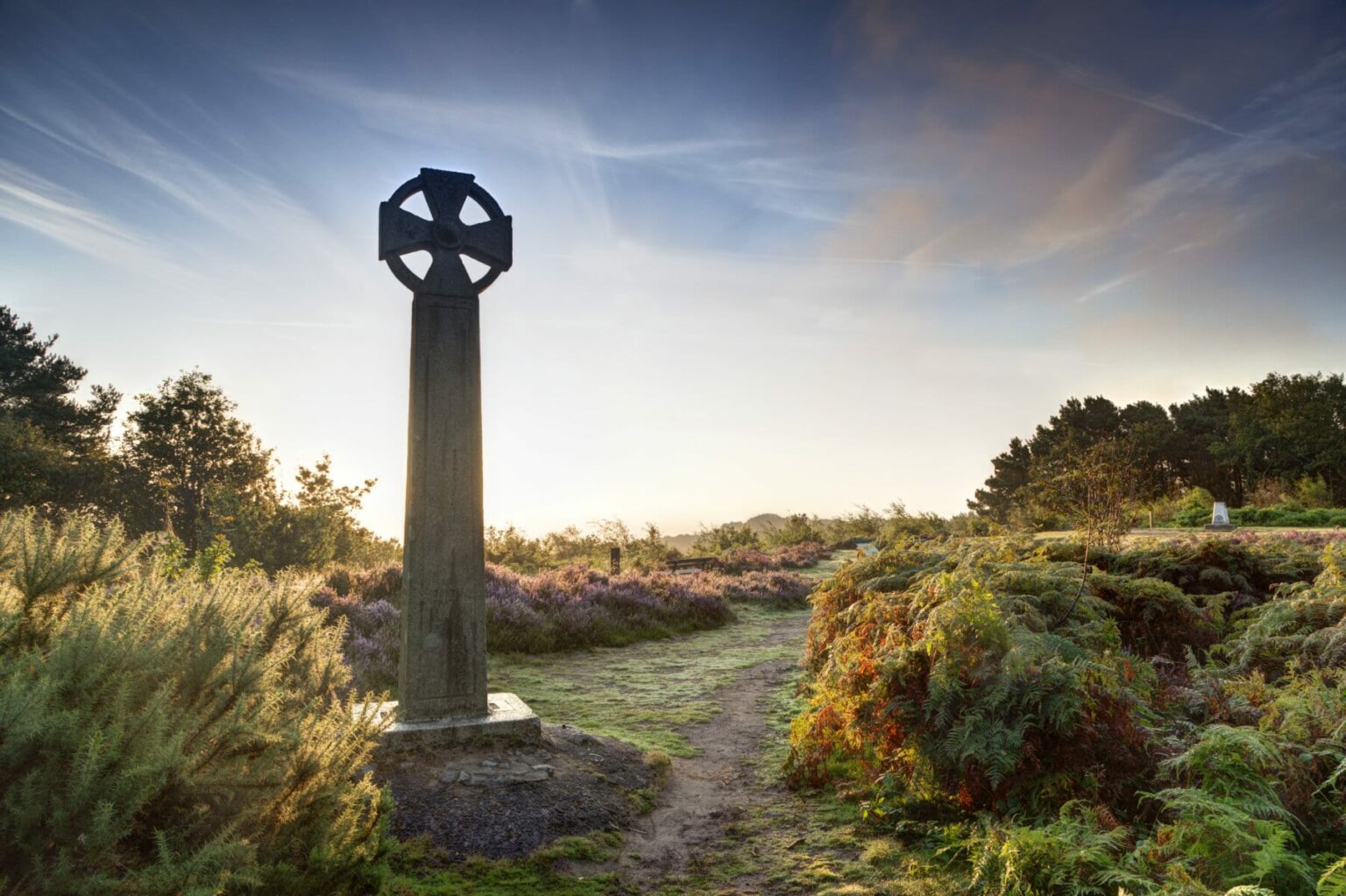 National Trust Surrey Hills - Surrey Hills National Landscape