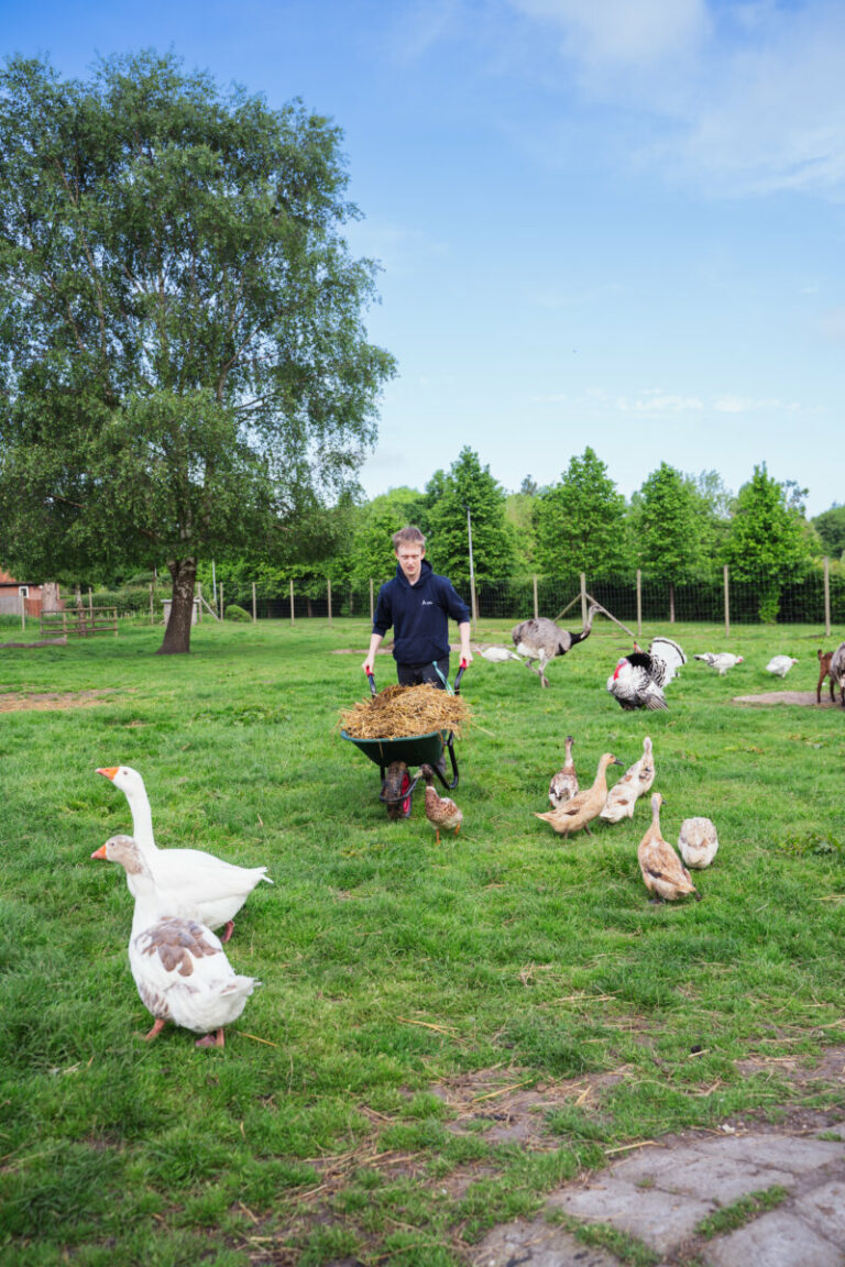 Merrist Wood College - Surrey Hills National Landscape