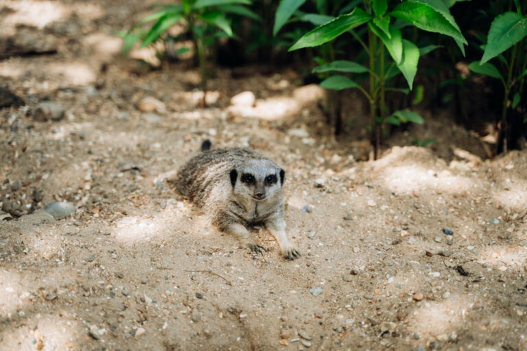 Merrist Wood College - Surrey Hills National Landscape