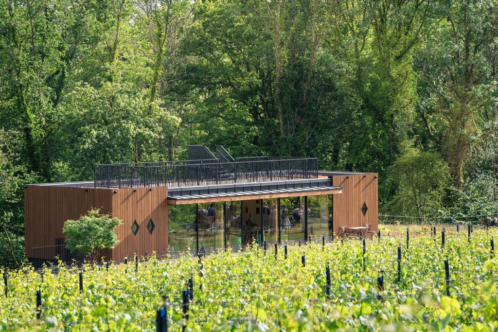 Chilworth Manor Vineyard - Surrey Hills National Landscape