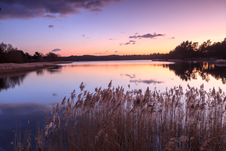 Places to see in the Surrey Hills National Landscape