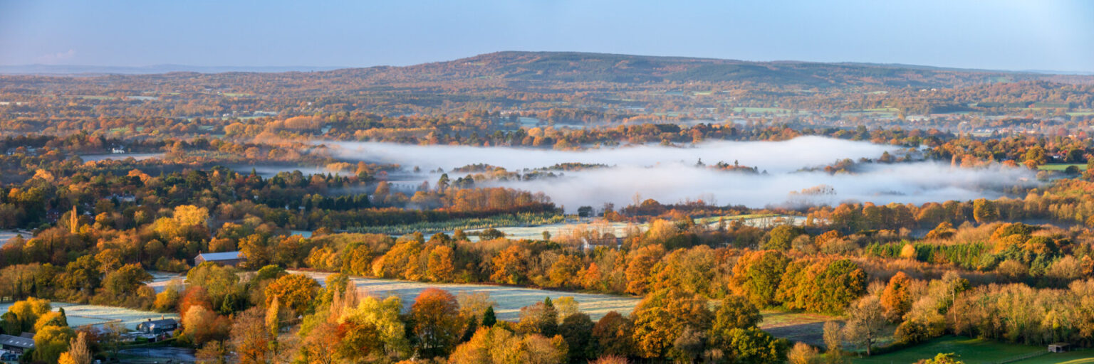 Places to see in the Surrey Hills National Landscape