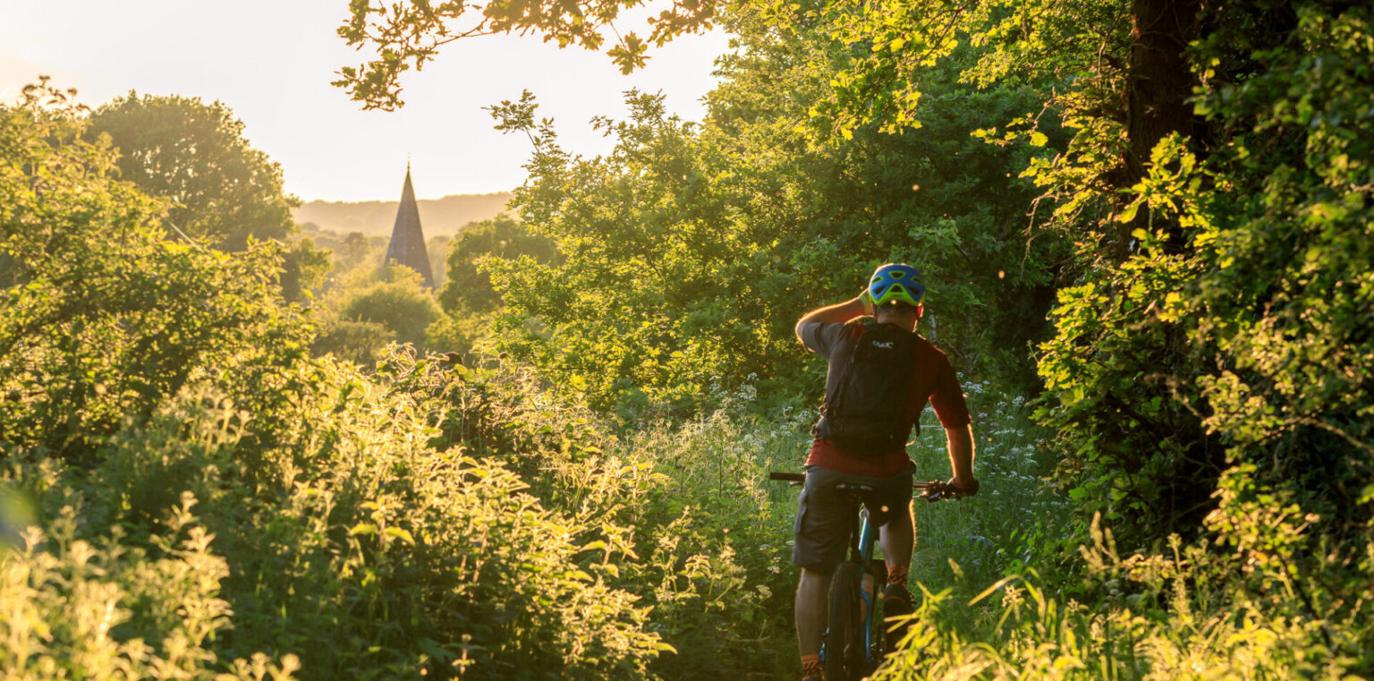 Visit The Surrey Hills National Landscape
