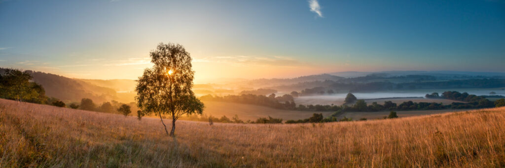 Surrey Hills National Landscape