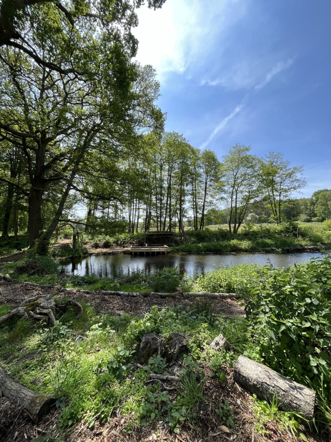 Farming in the Surrey Hills: Feeding the Future and Nurturing Nature ...