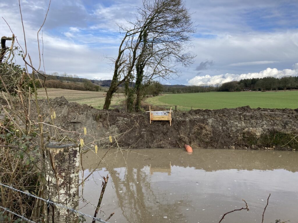 Natural Flood Management Pond Restoration Manor Farm - Surrey Hills ...