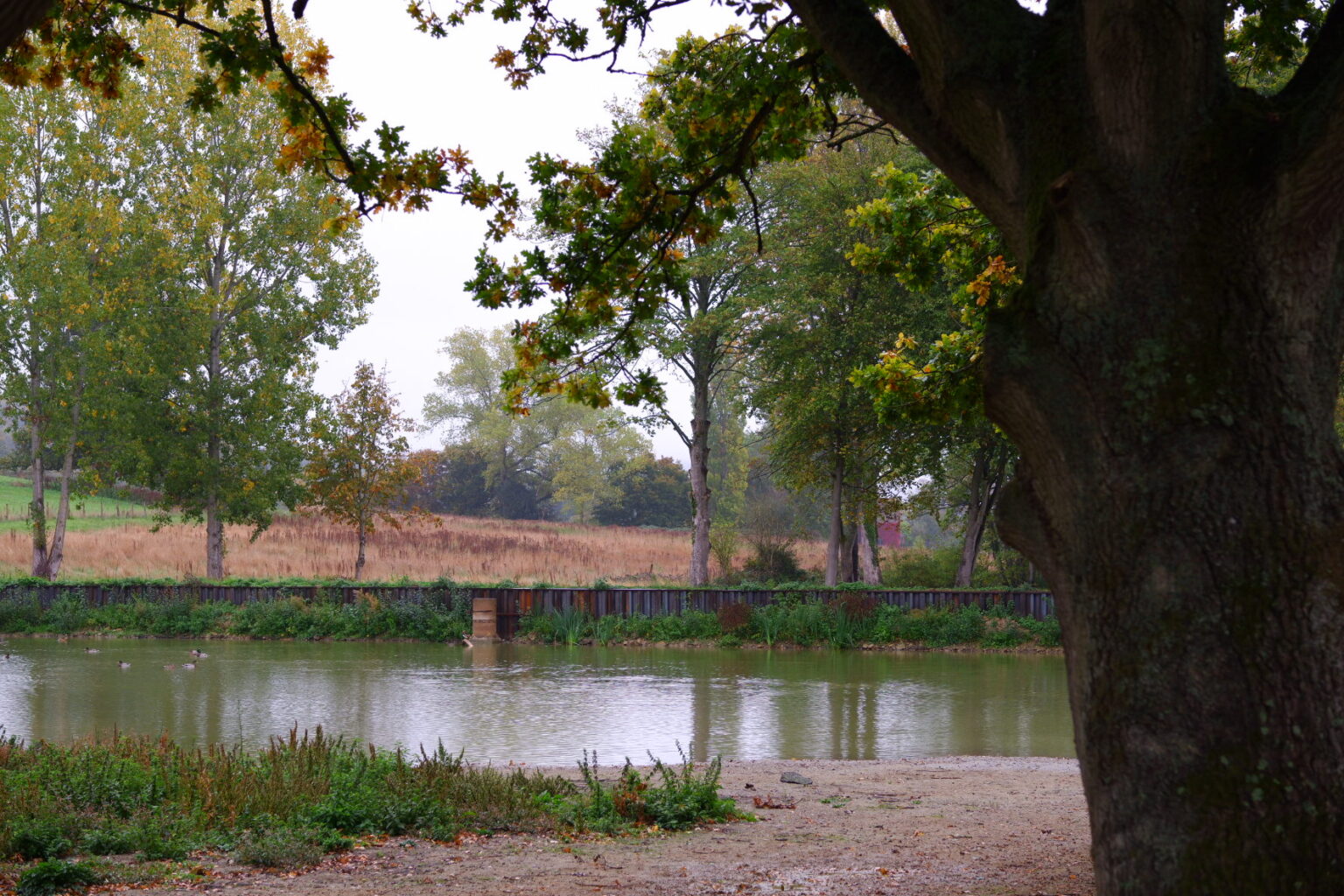 Loseley Lakes brought back to life with FiPL - Surrey Hills National ...
