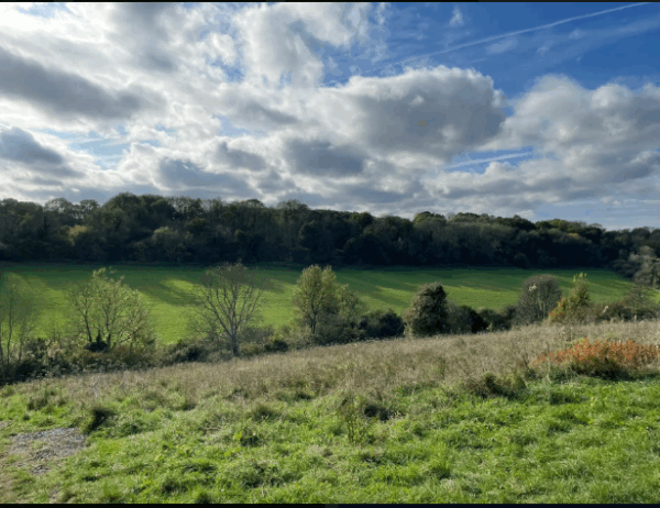 R2R: Downlands Circular - Surrey Hills National Landscape
