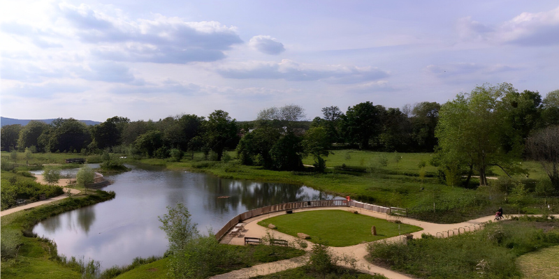 Knowle Park - Surrey Hills National Landscape