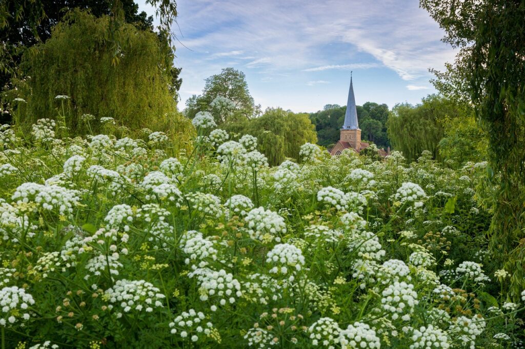 Godalming Riverside: Easier by Rail - Surrey Hills National Landscape
