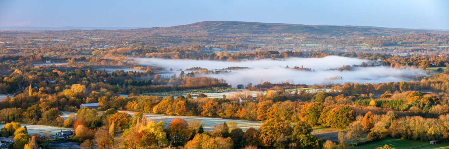 Places to see in the Surrey Hills National Landscape