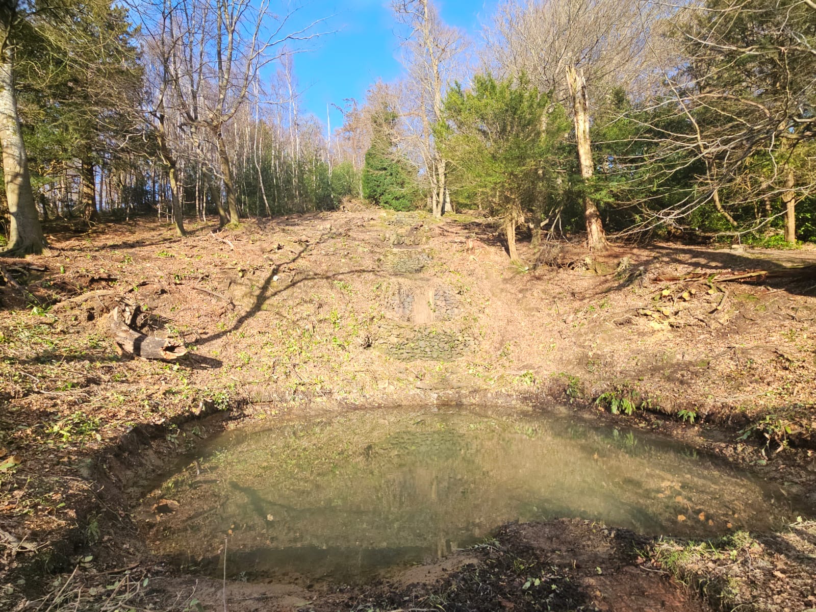 Tillingbourne waterfall restoration Wotton Estate - Surrey Hills ...